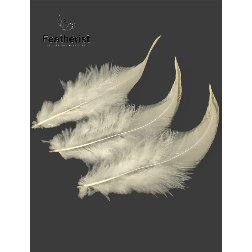 100 PCS DIY Feathers | White Fortune | Arts and Crafts | Authentic ...