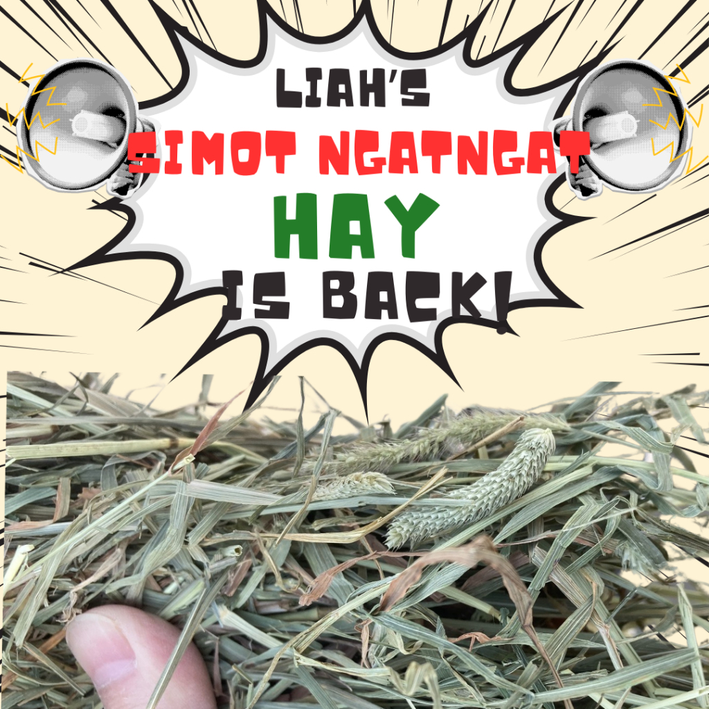 Timothy Hay 1kg (1st & 2nd Cut) for rabbit , goat , cows , tortoise and ...