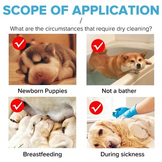 Dog Powder For Tick And Flea Puppy Dry Cleaning Powder Gamot Sa ...