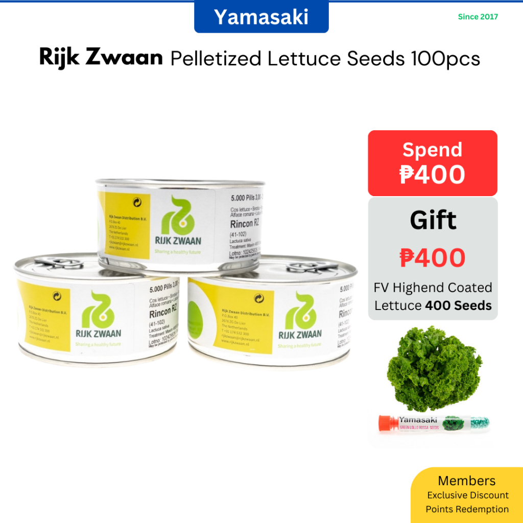 Rijk Zwaan RZ Pelletized Lettuce Seeds 100pcs | Lalique Olmetie Locarno ...