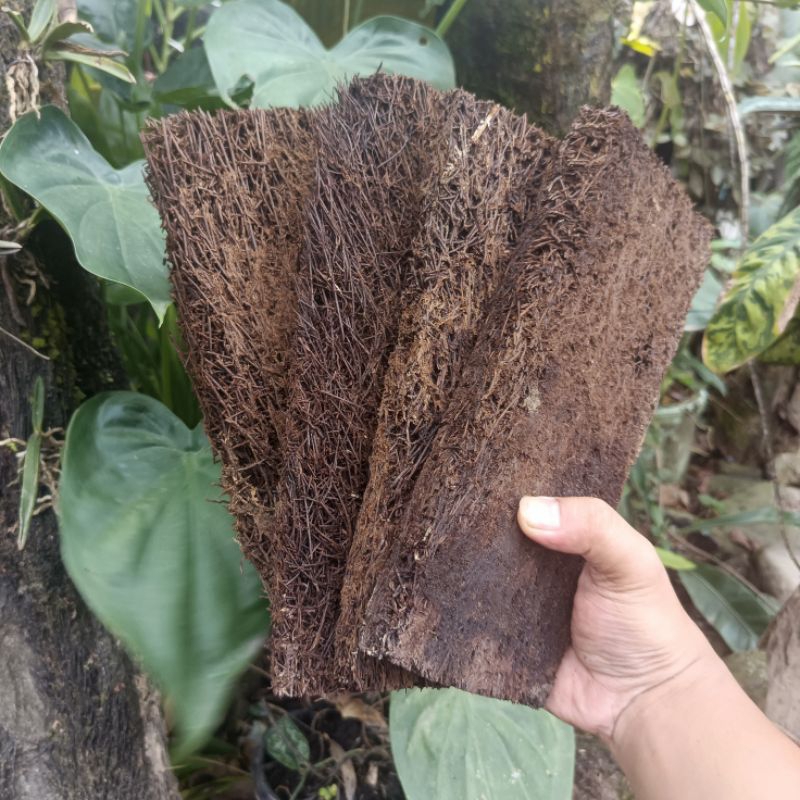 4 pieces Fern slab for plants and orchids | Shopee Philippines