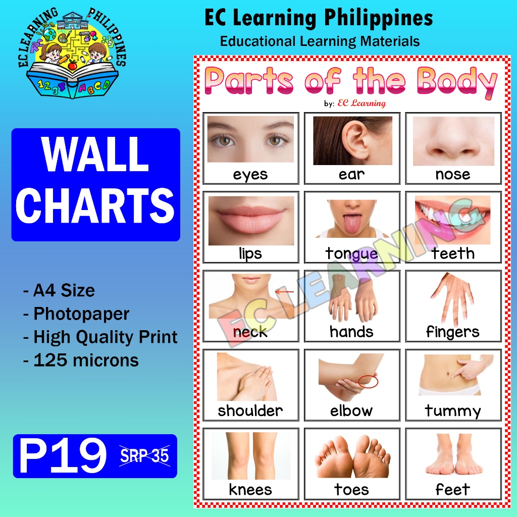 BODY PARTS Laminated Educational Wall Chart for kids - EC LEARNING ...