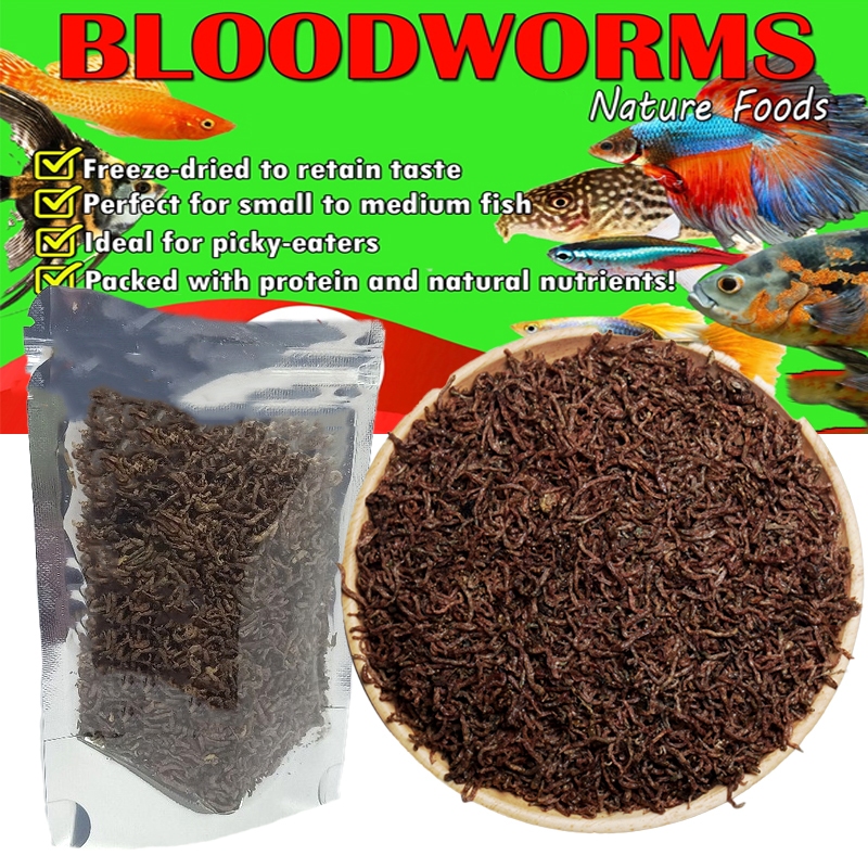 (20 GRAMS) Premium freeze dried bloodworm Fish food for small fish ...