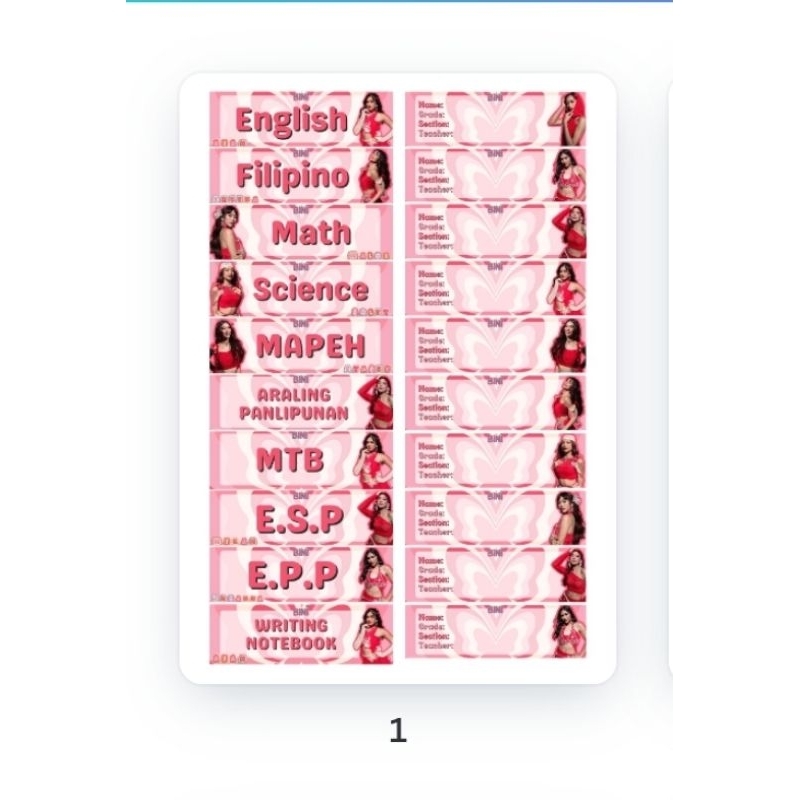 BINI SUBJECT AND NAME LABEL STICKERS NOTEBOOK A4 | Shopee Philippines