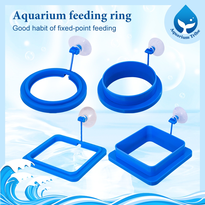 Aquarium Feeding Ring Fish Tank Floating Food Feeder Buoyancy Ring Pool ...