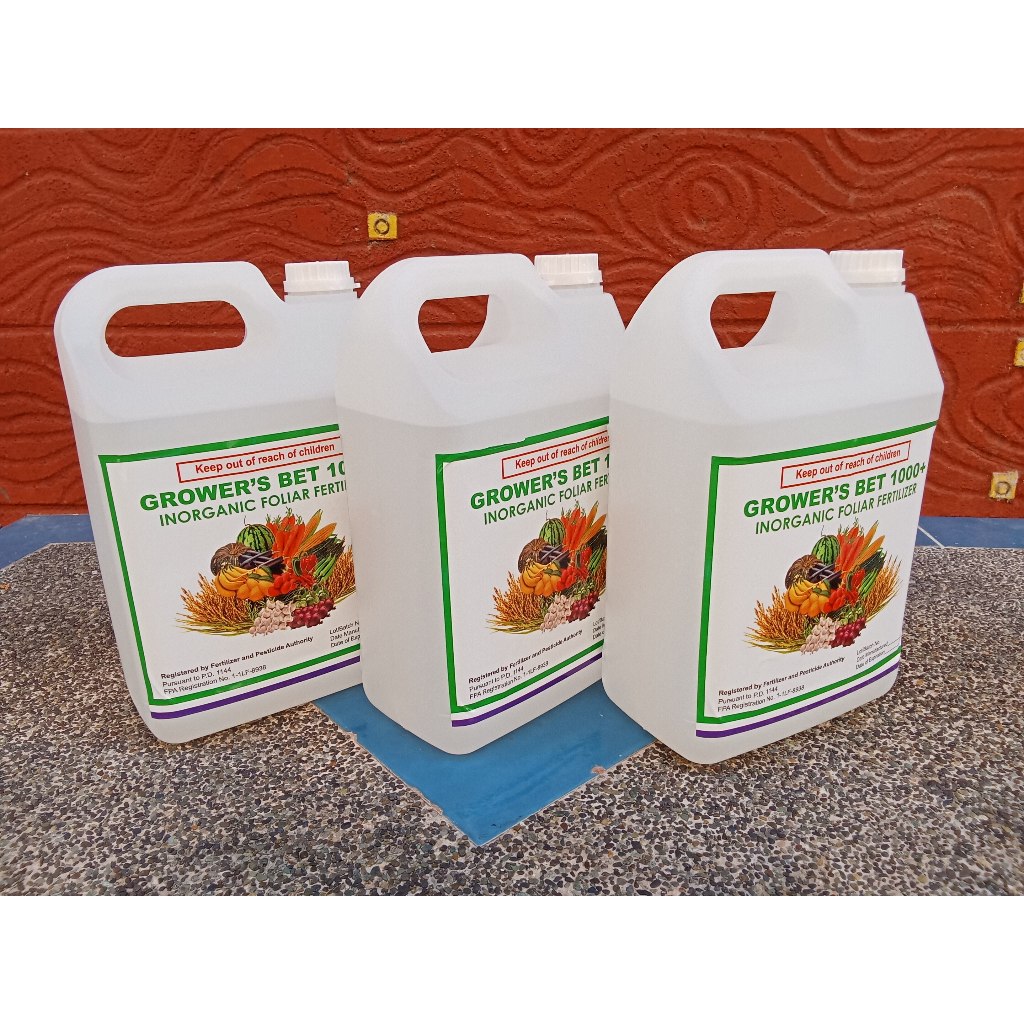 Growers bet 1000+ set of 3 gallons | Shopee Philippines