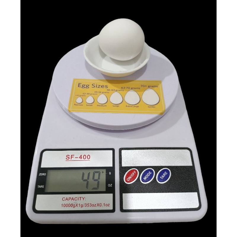 DIGITAL EGG scale kitchen scale 10000g | Shopee Philippines