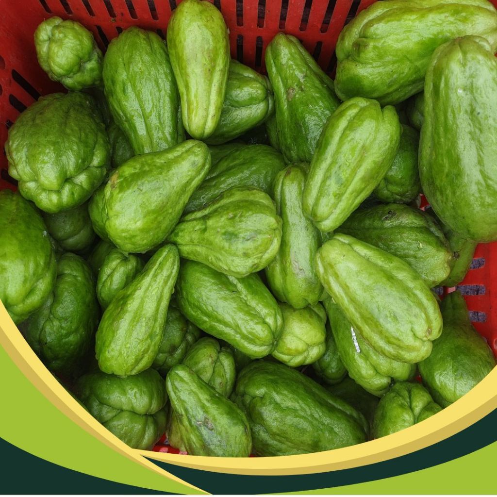 Chayote, Sayote cooking essential, tinola seasoning 500g | Shopee Philippines