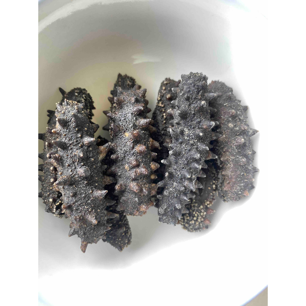 Prickly Sea Cucumber 100g | Shopee Philippines