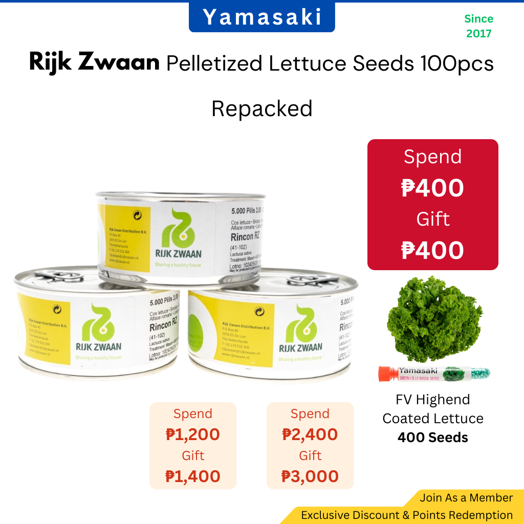 Rijk Zwaan RZ Pelletized Lettuce Seeds 100pcs | Lalique Olmetie Locarno ...