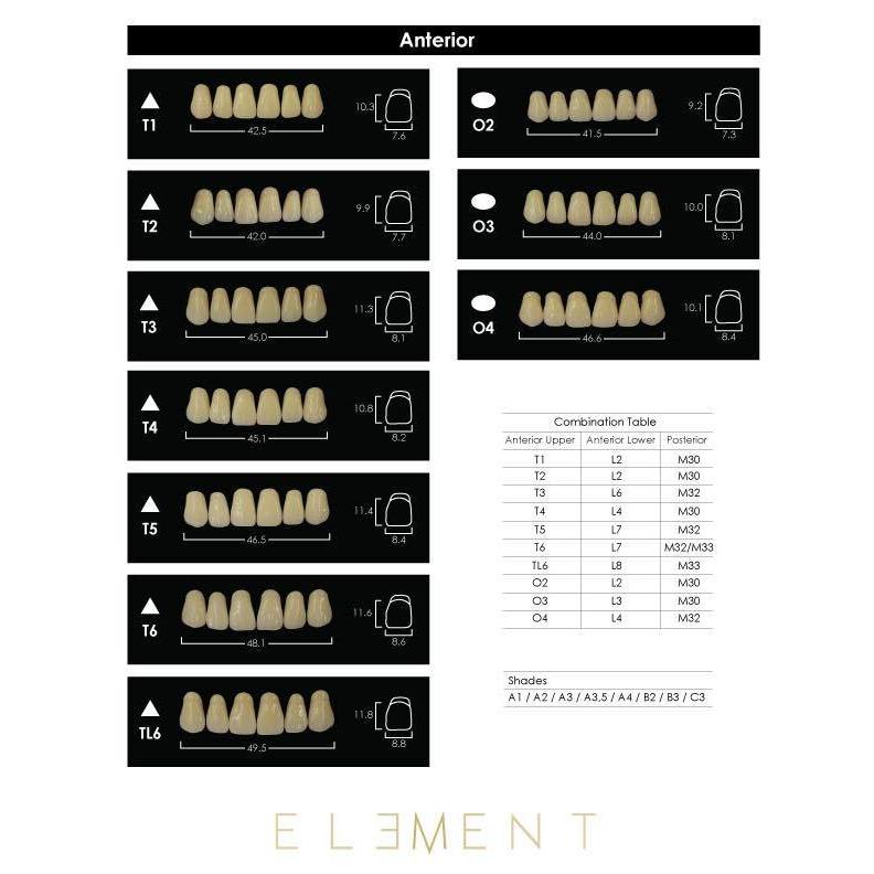 ELEMENT Denture Teeth Posteriors 1x8 set acrylic pontic | Shopee ...