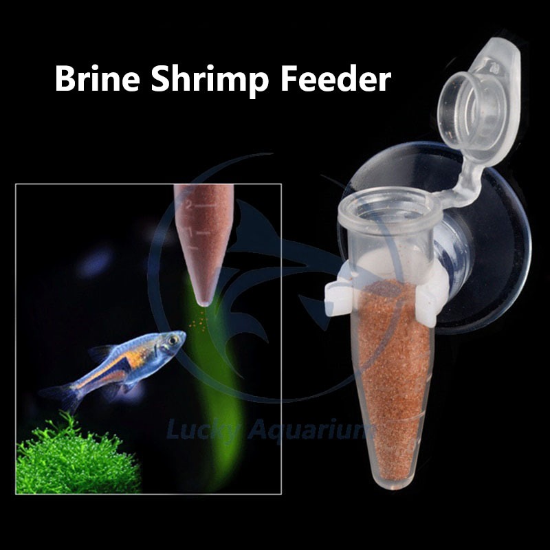 Brine shrimp automatic feeder Tapered funnel Aquarium fish tank feeder ...