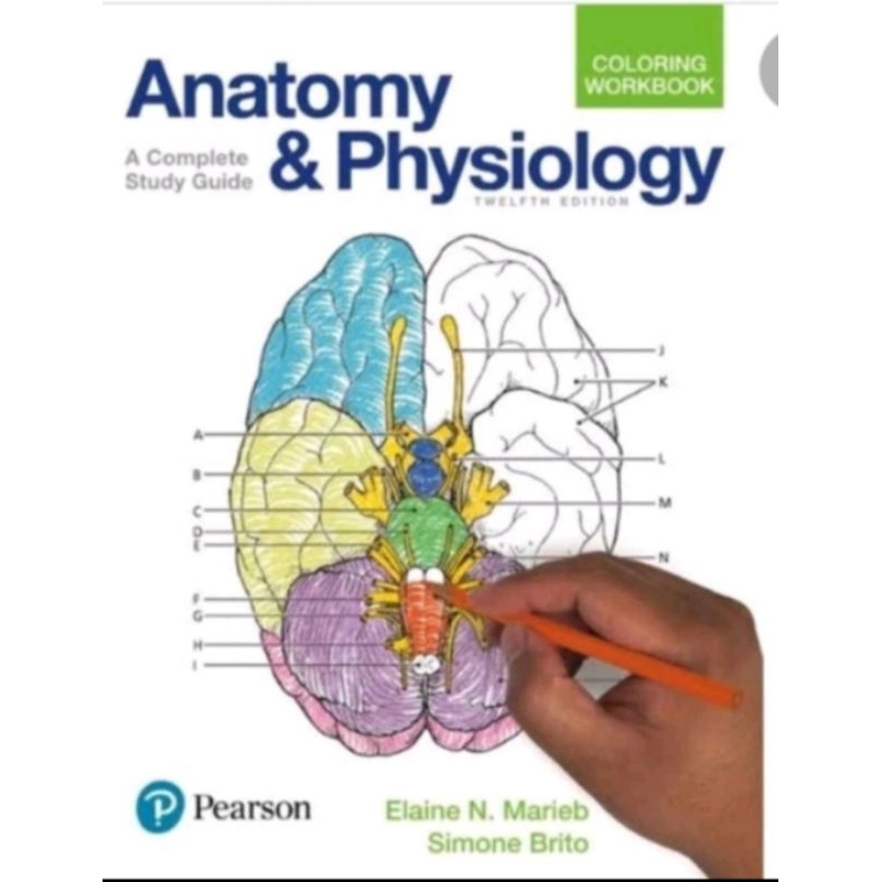 Anatomy And Physiology Coloring Book Shopee Philippines