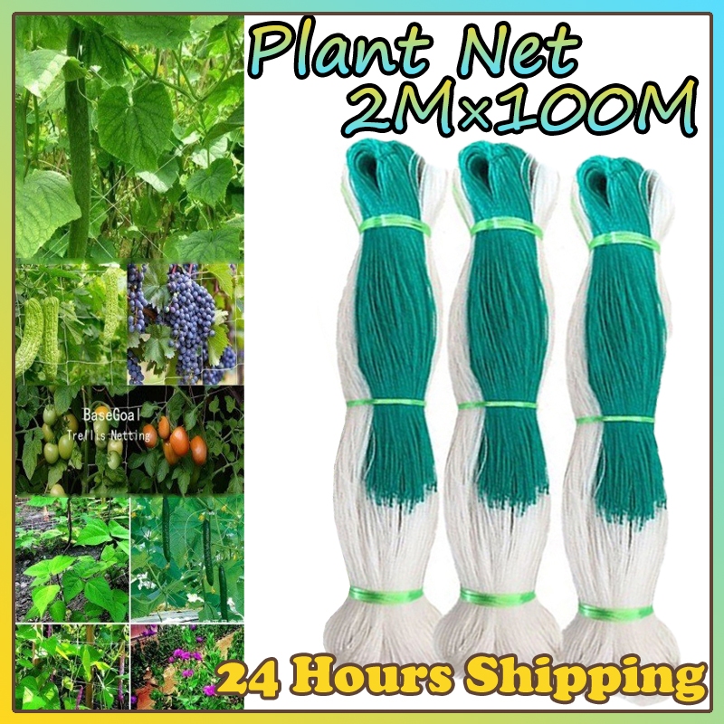 100Meter Plant Climbing Net Reusable Nylon Cucumber Vegetables Trellis ...