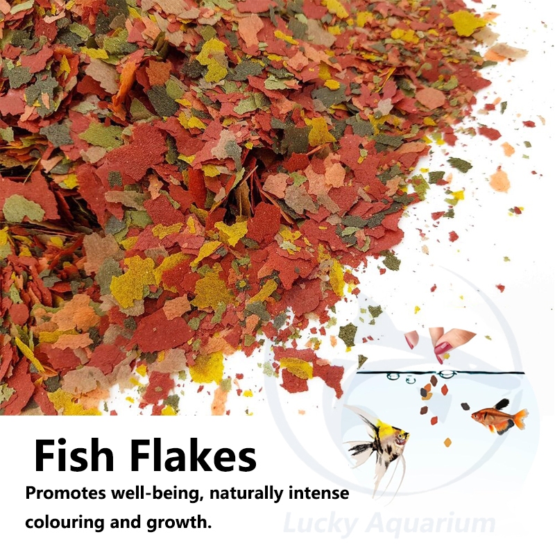 100g Fish food flakes Tropical and koi fish flakes High quality grade ...