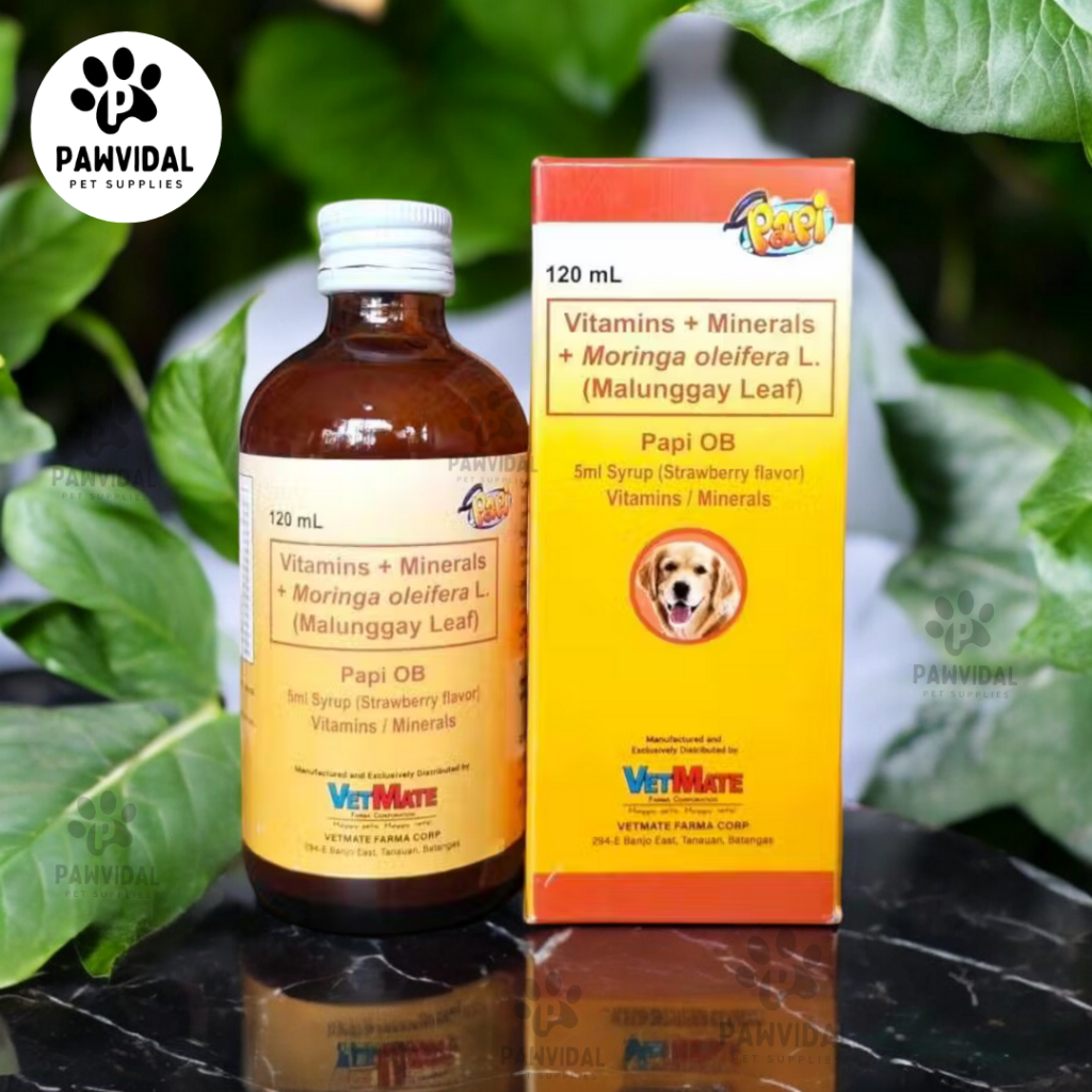 Papi OB 120mL: Vitamins + Minerals + Moringa oleifera L. (Malunggay ...