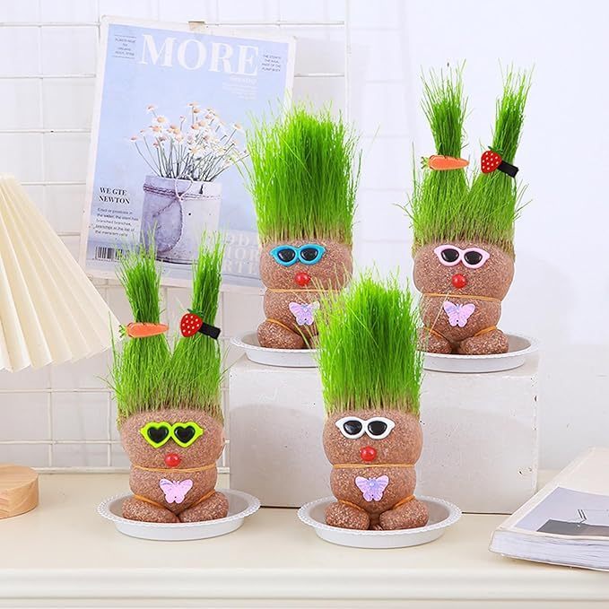 DIY Grass Head Plant Doll Room Decor and Growing Toy for Children Ideal ...