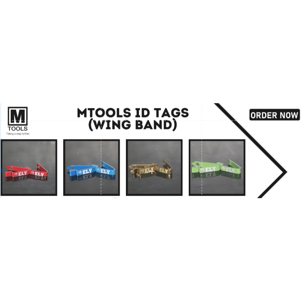 25 pcs Customized Laser Engraved Wing band HIGH QUALITY | Shopee ...