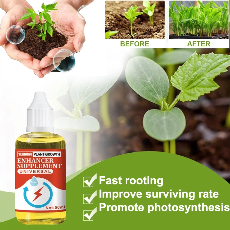 Plant growth enhancer supplement Root hormone stimulator for Transplant ...