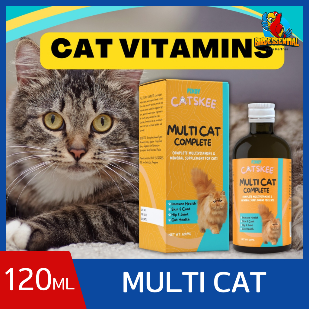 PIKOY CAT VITAMINS (120ML) for Appetite, Weight Gain Multivitamins for ...