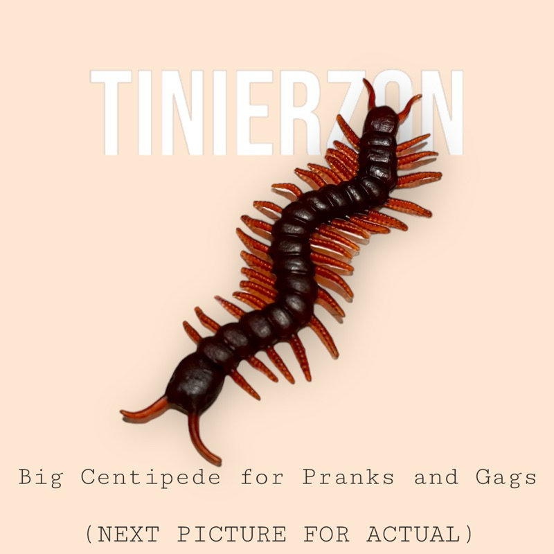 Big Centipede For Pranks and Gags | Shopee Philippines