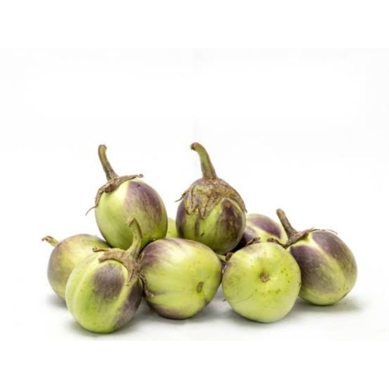 Talong Gwapito/ Round eggplant seeds for planting (50 seeds) | Shopee ...