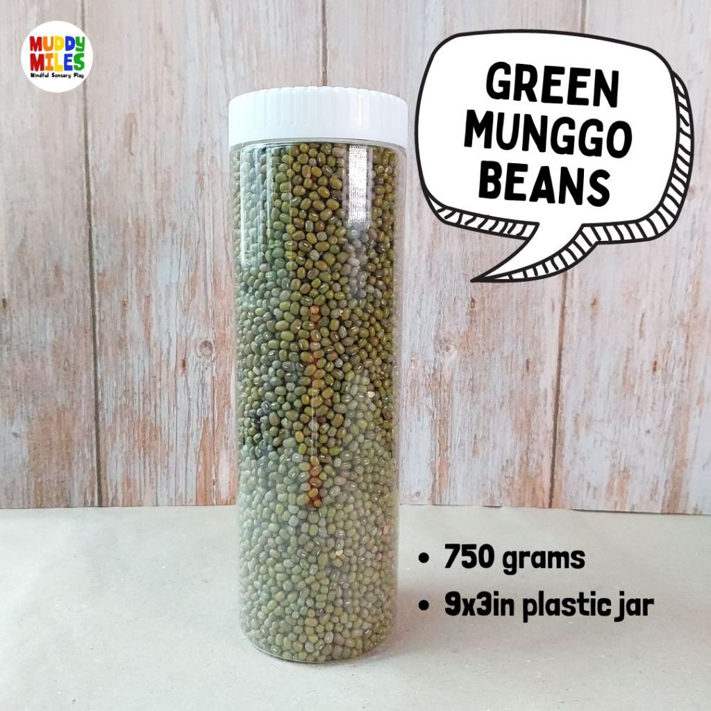 Green Munggo Beans for Sensory Bin Filler | Shopee Philippines