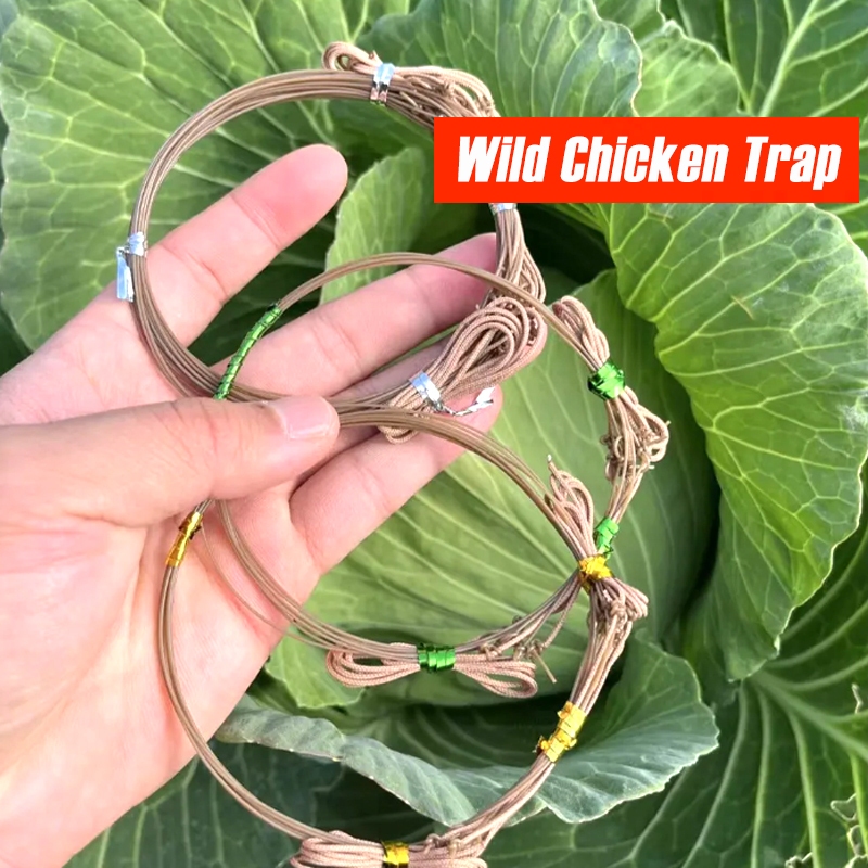 Black Wild Chicken Trap Racik Snare Hanging Rack Trap Ready To Use Bird ...