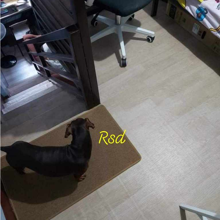 American Vinyl Brand Premium Quality Linoleum Sheet Haspe Matte Finish ...