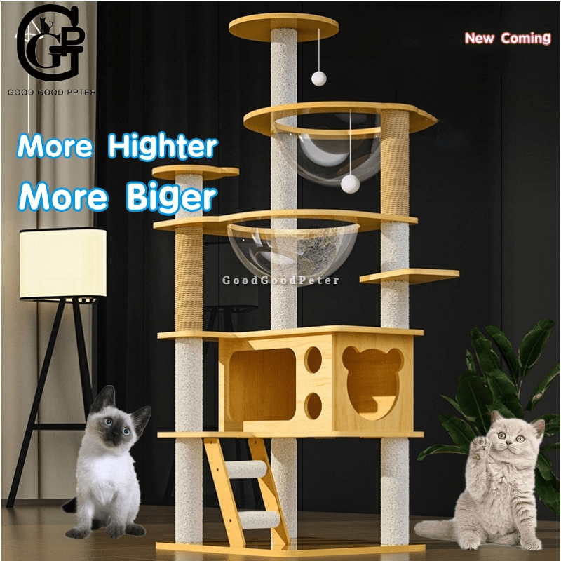 Cat Tree with Clear Space Capsule Cat Condo Large Cat Tree House Cat ...