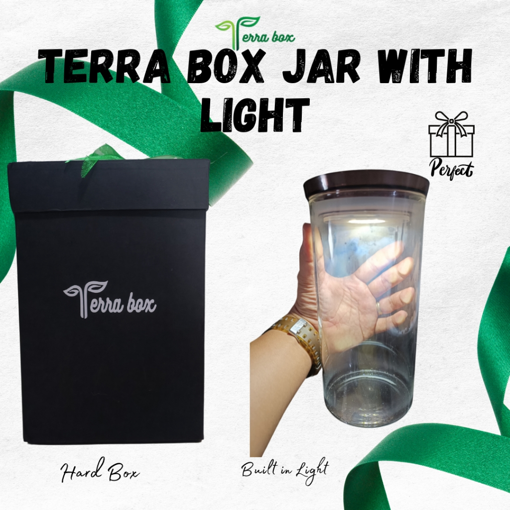 TERRA BOX TERRARIUM JAR WITH LIGHT AND HARDBOX USB POWERED, 10.5X21CM ...