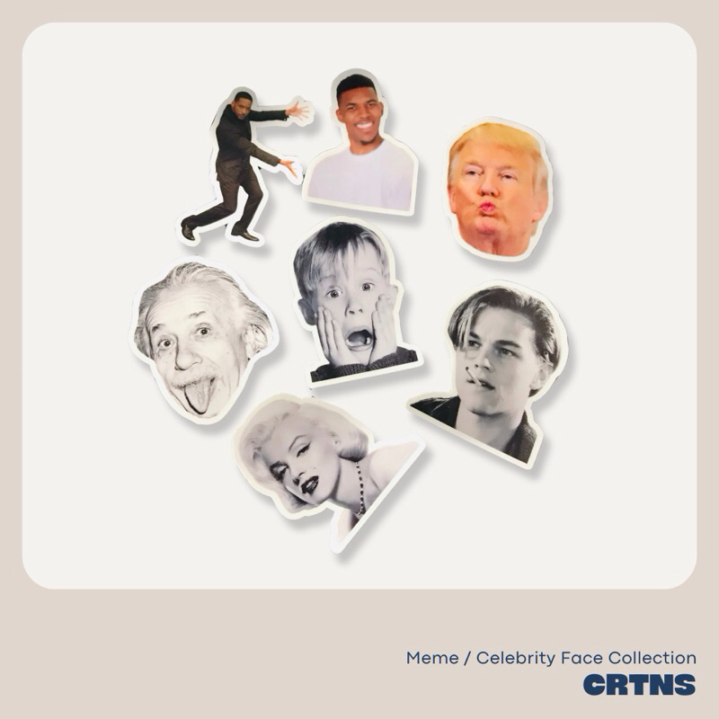 Meme Face / Celebrity Face Stickers - Vinyl Waterproof Matte Sticker 🪐 ...