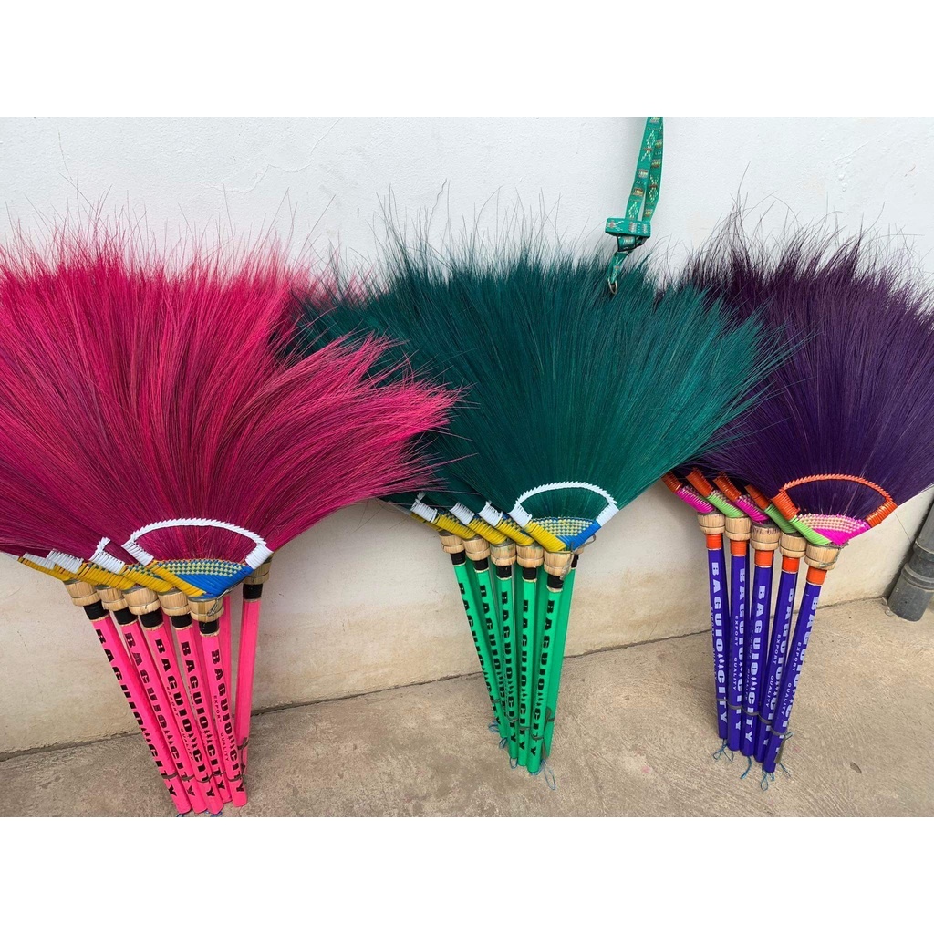 COLORED WALIS TAMBO SOFT BROOM WALIS NG PINAS TRENDY WALIS TAMBO EXPORT ...