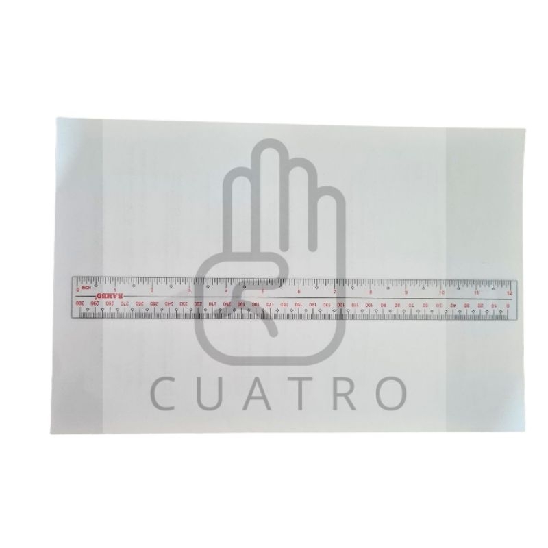 Plastic Ruler 12 inch | Shopee Philippines