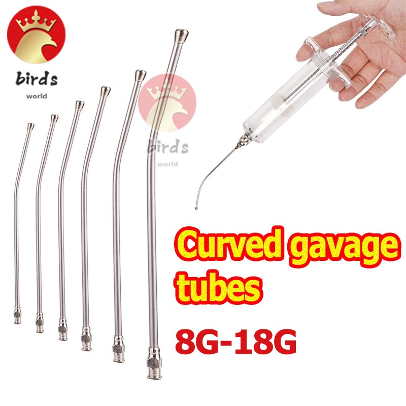 Hand feeding syringe for bird Stainless steel curved gavage tubes for ...