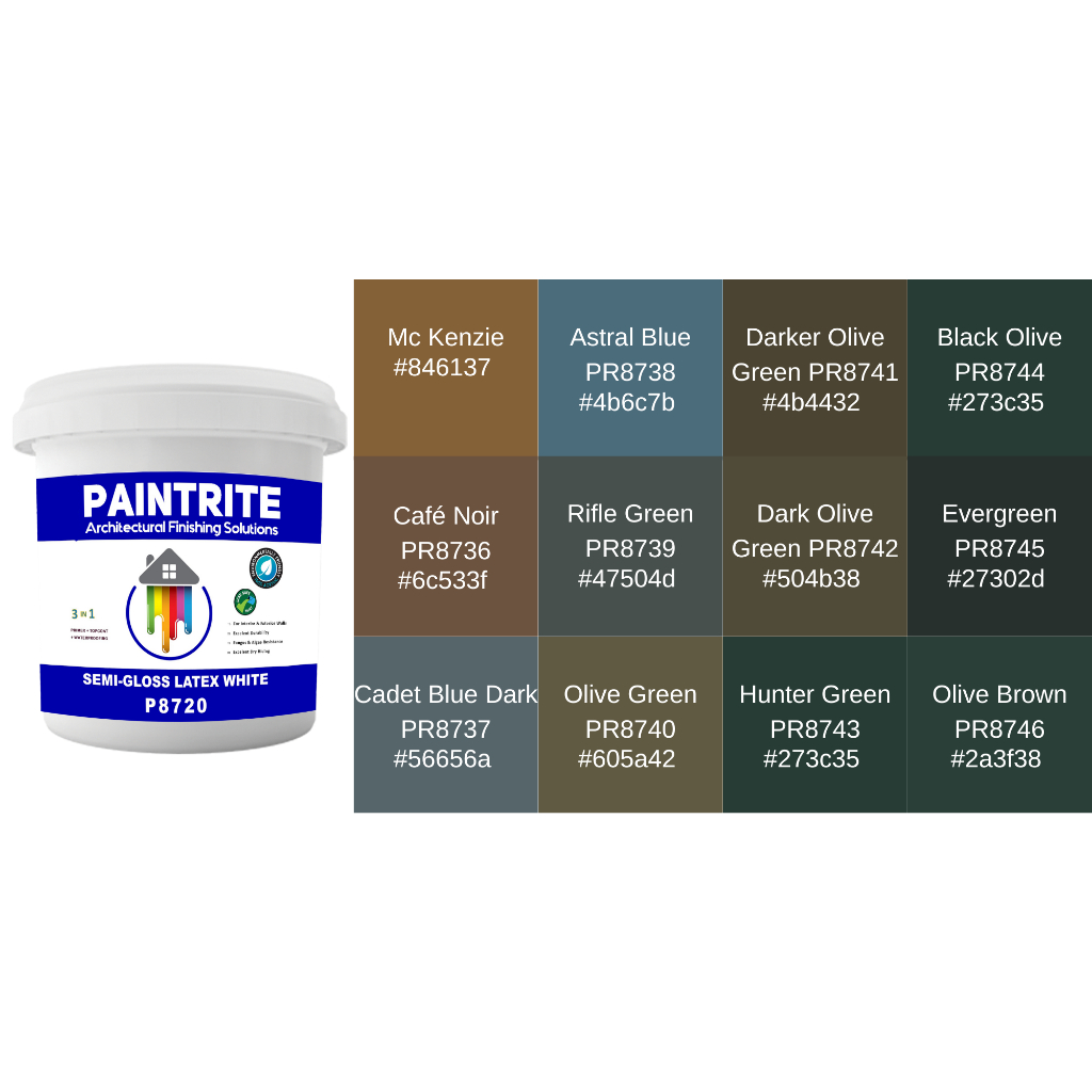 Paintrite Gloss Latex Paints 1L Color Palette #4 | Shopee Philippines
