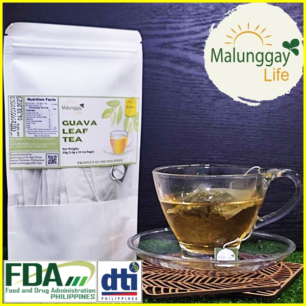 Guava Leaf Tea pure natural organic locally grown and farm grown ...