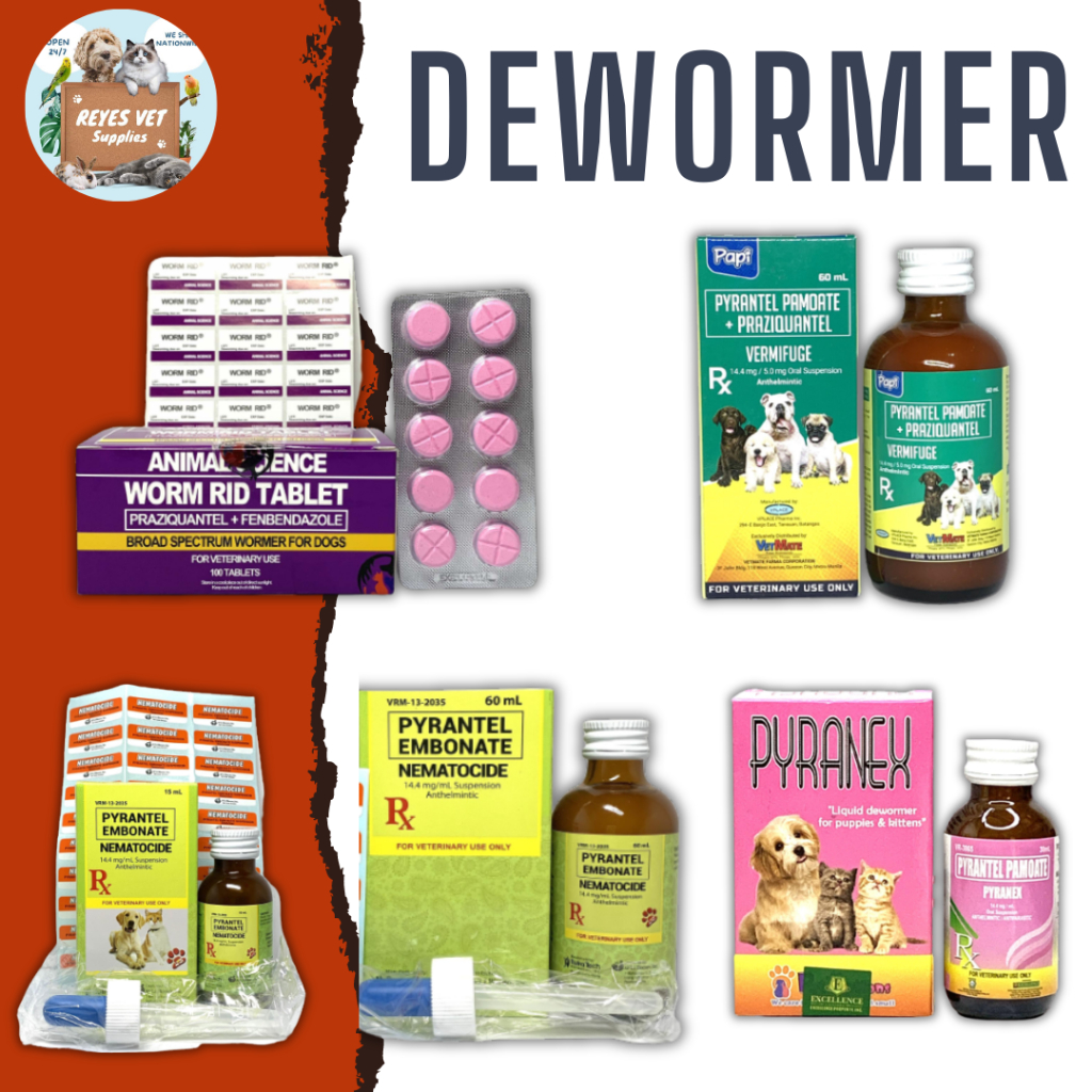 [VET SUPPORT] Animal Science Worm Rid Papi Vermifuge Nematocide 15mL ...