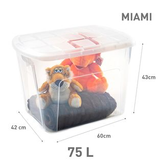 Plastic Forte multipurpose box | Shopee Philippines