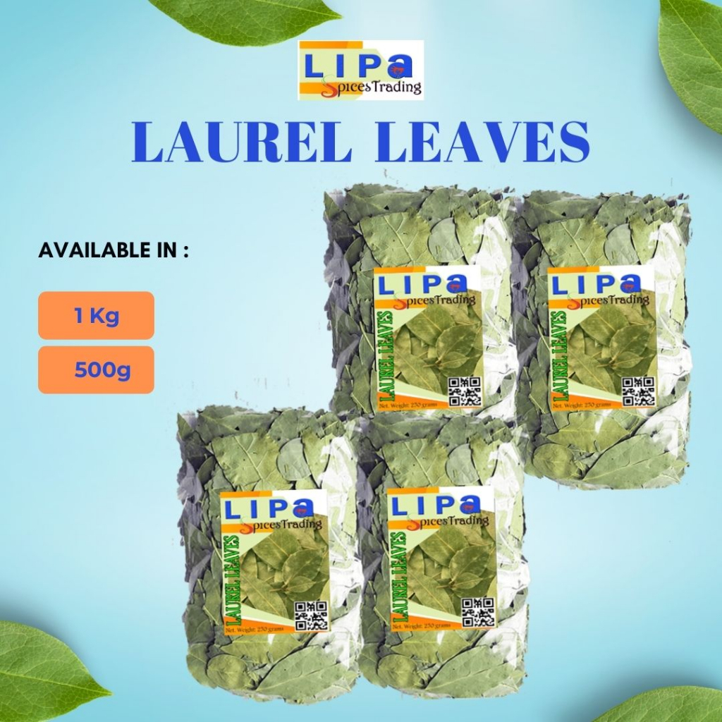 Lipa Spices Trading Laurel Leaves Dahon ng Laurel (HINDI BUO NA DAHON ...