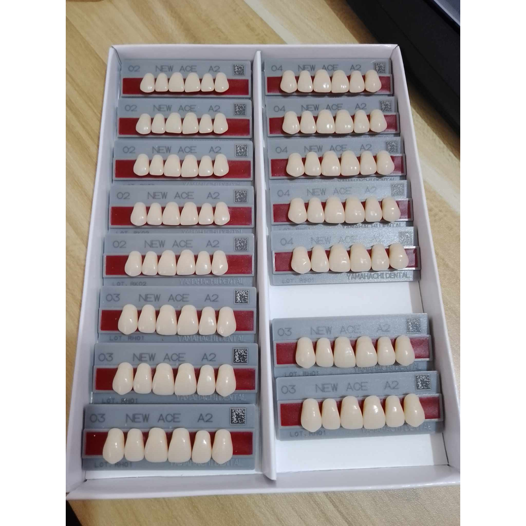 New Ace Acrylic Resin Teeth UPPER Anterior | Shopee Philippines