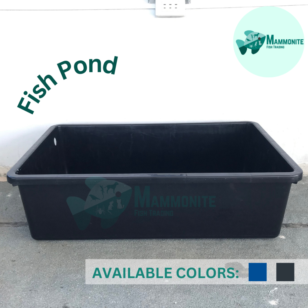 Plastic Fish Pond / Plastic Fish Tub / L1061 / L1060 / L1059 / L1058 ...