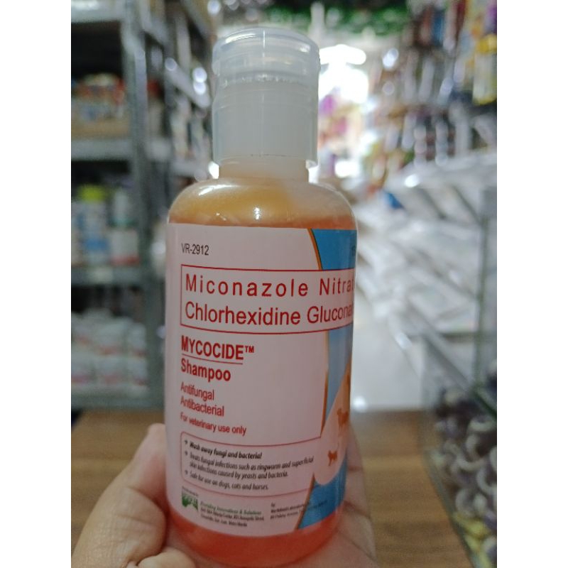 Mycocide Antifungal Shampoo 150ml | Shopee Philippines