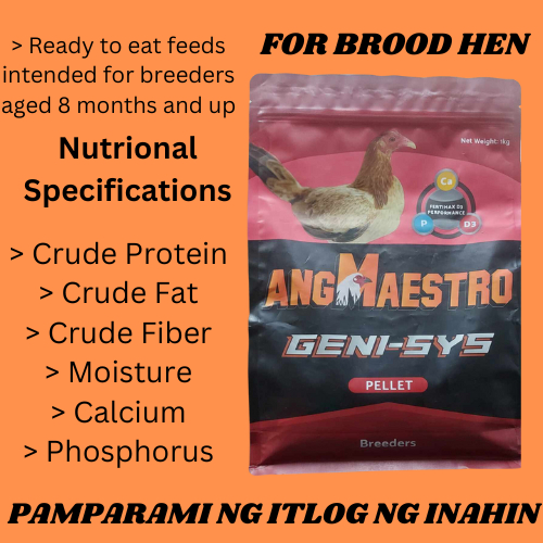 PARA SA INAHING MANOK PAMPADAMI NG ITLOG AT PAMPALAKAS NG KATAWAN ANG ...