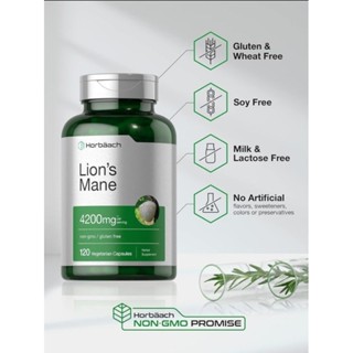 Lions Mane Mushroom Extract 4200mg, Horbaach Lion's Mane | Shopee ...