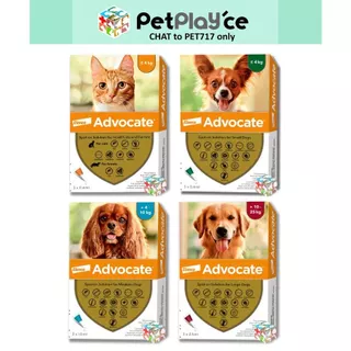 cat stickers - Best Prices and Online Promos - Sept 2024 | Shopee ...
