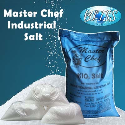 Master Chef Industrial Salt (Thickener) 1KG | Shopee Philippines