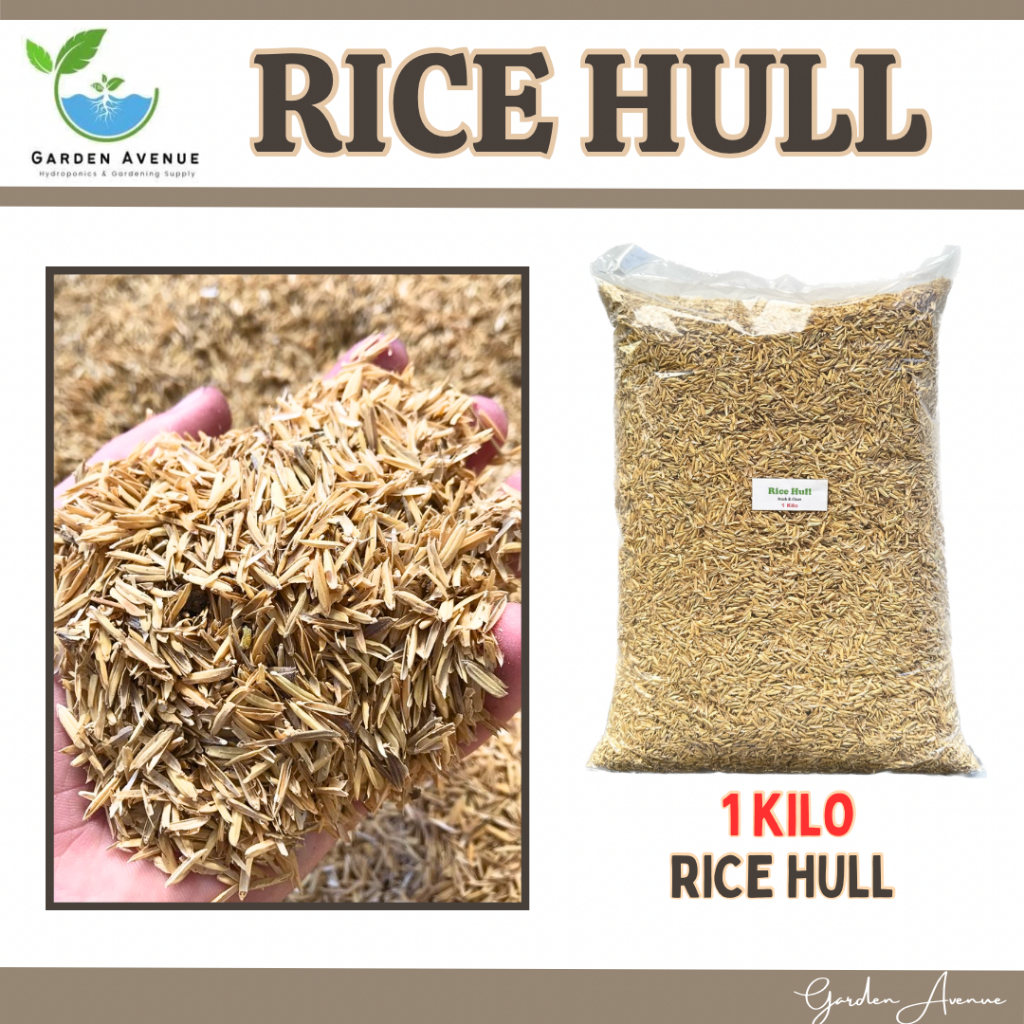 (1 KILO) RICE HULL/IPA - Malinis/For Ornamental Plants, Veggies, Herbs ...