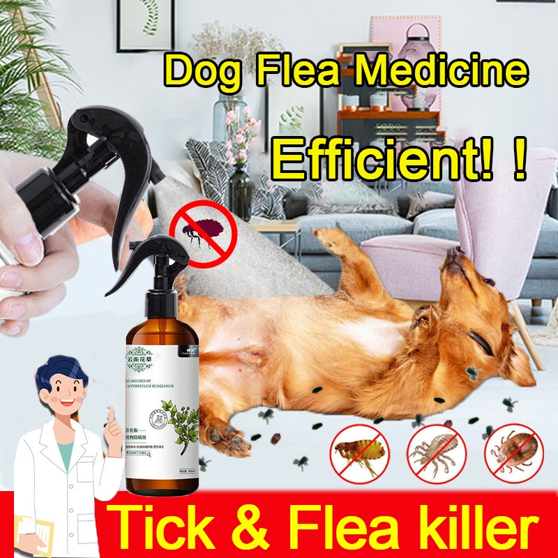 Anti Tick And Flea Spray Anti Tick Garapata Flea Pulgas & Lice Kuto ...