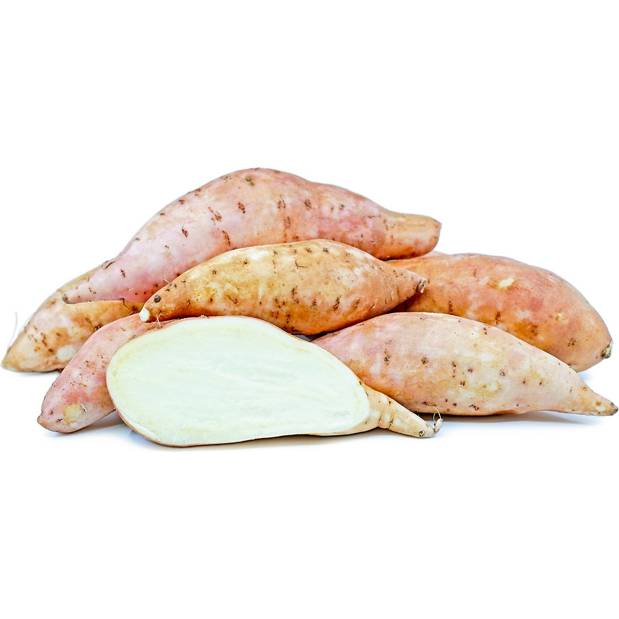 sweet potato rootcrop plant seeds kamote | Shopee Philippines